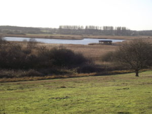 Minsmere - Birding For All