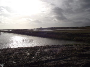 Minsmere - Birding For All