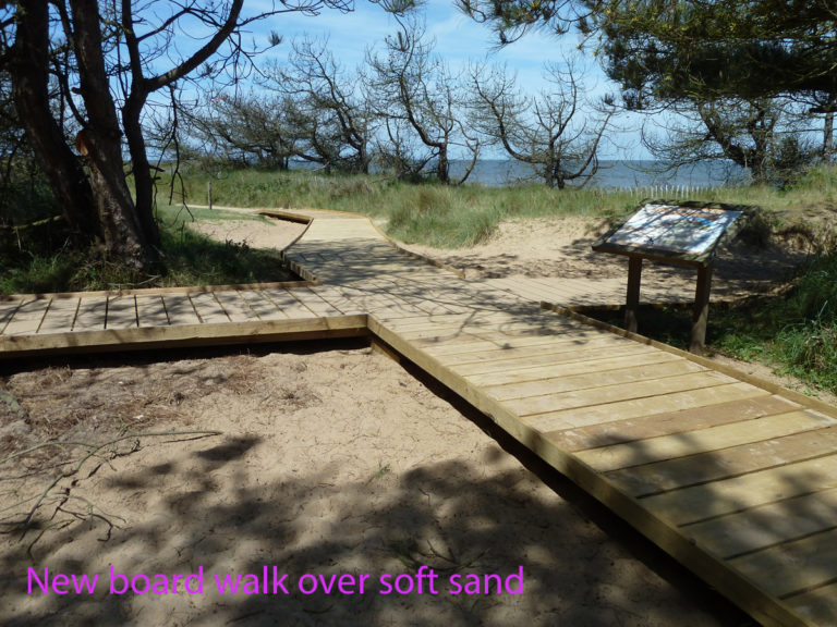 Holme Dunes National Nature Reserve - Birding For All