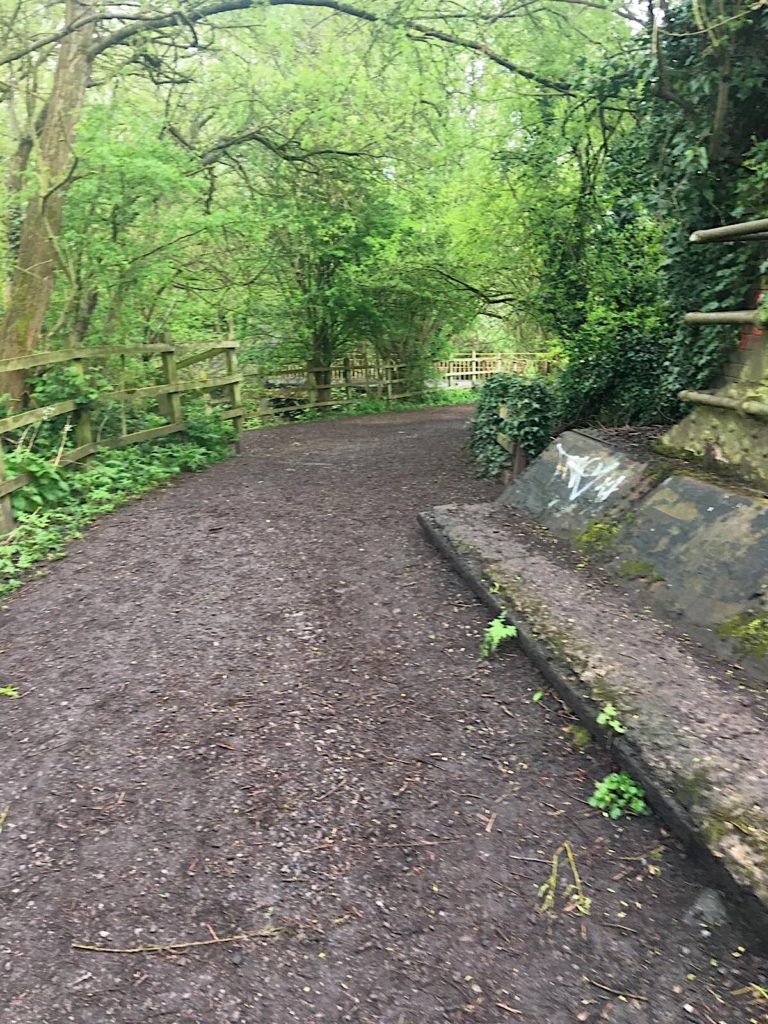 Smestow Valley Nature Reserve - Birding For All