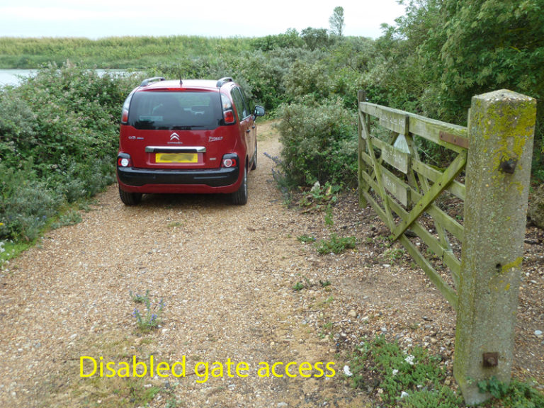 Disabled Access Gate medium – Birding For All