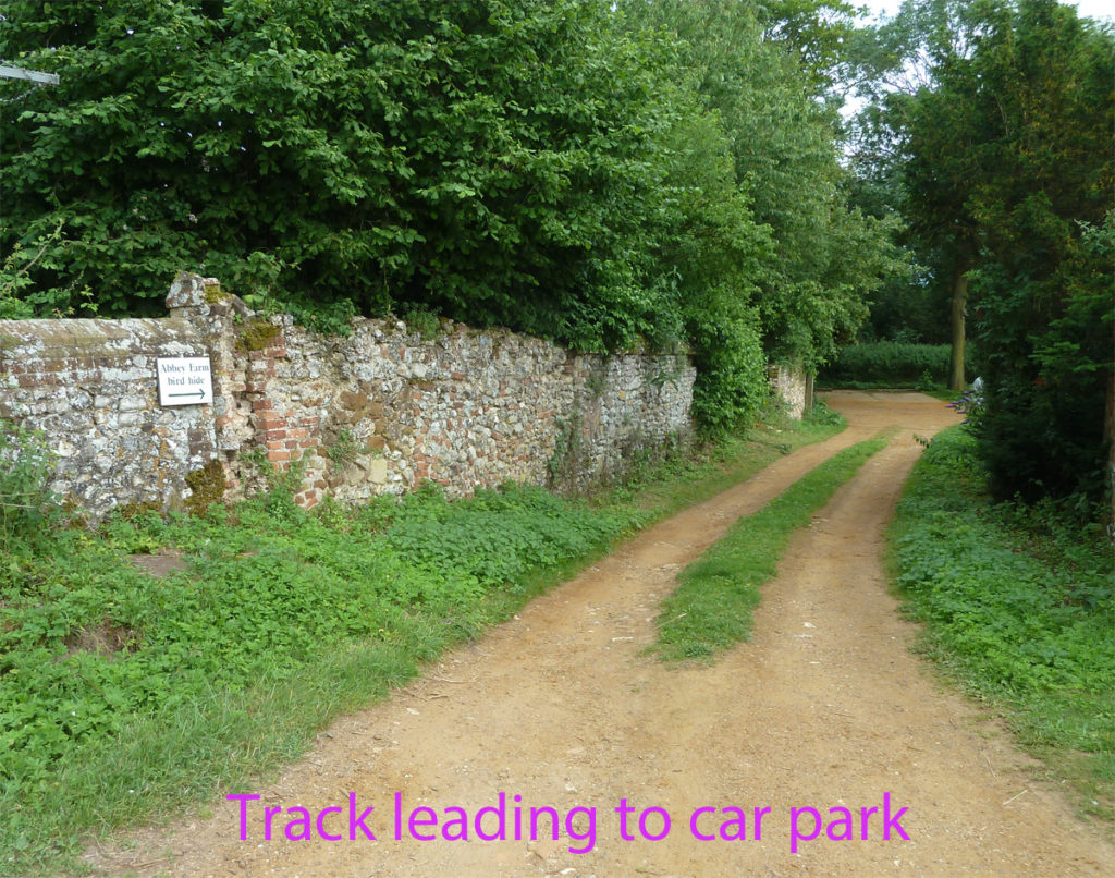 Abbey Farm, Flitcham - Birding For All